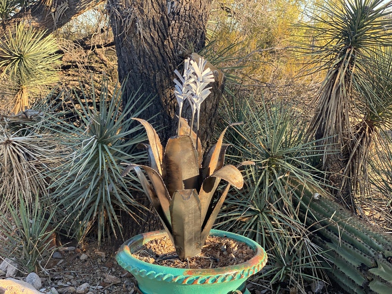 Handcrafted Rusty Metal Blooming Agave Arizona Desert Cactus Handmade ...