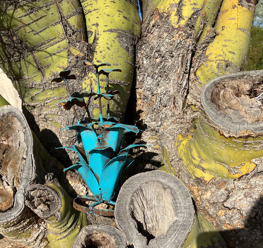 Rustic Rusty Turquoise MINI Metal Blooming Agave Arizona Desert Cactus ...