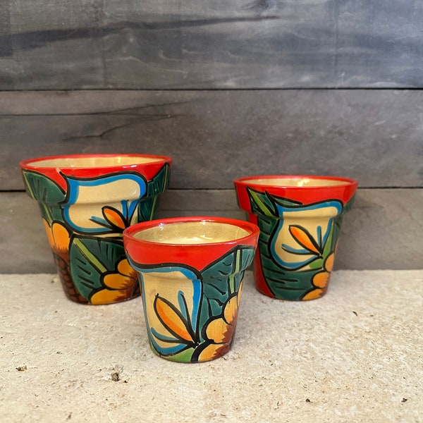 Colorful Flower Pots - Etsy