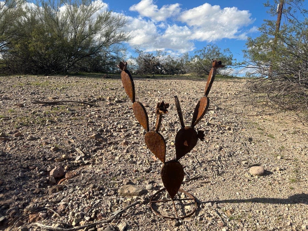 Handcrafted Rustic Metal Prickly Pear Cactus Wabi Sabi Blooming Nopal ...