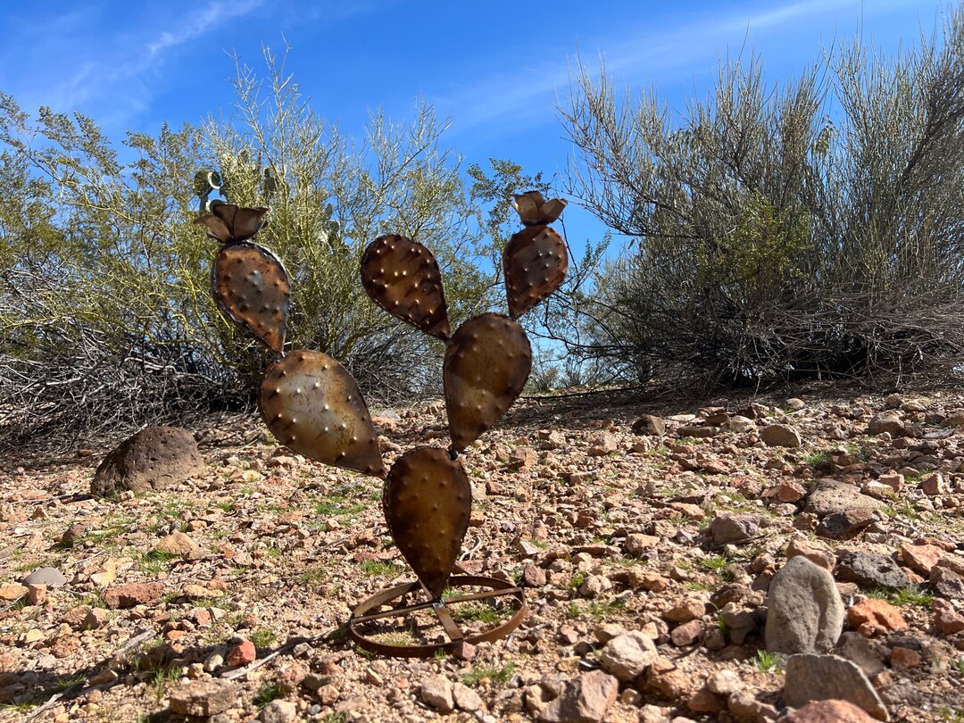 Rustic and Rusty Cactus Mexican Metal Yard Art Desert Cactus - Etsy