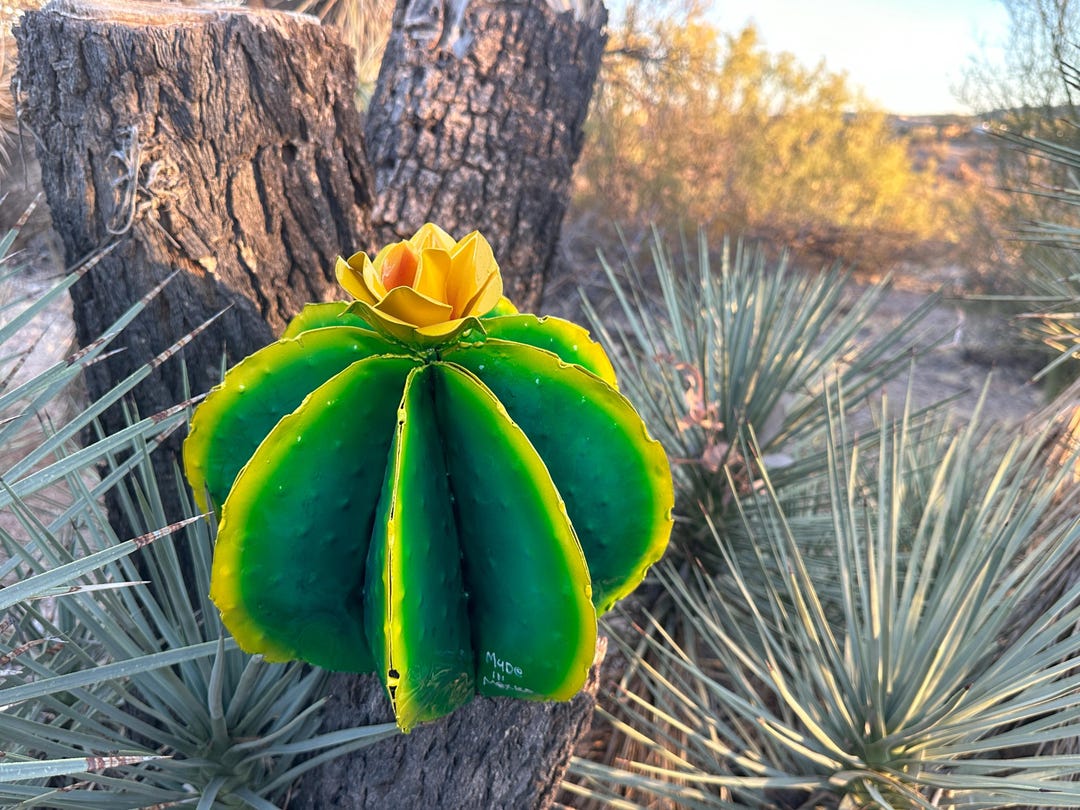 Handcrafted Metal Barrel Cactus: Colorful Garden Art - Etsy