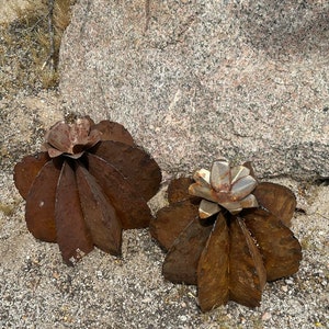 Rustic Metal Barrel Cactus: Handcrafted Mexican Yard Art (slightly ...