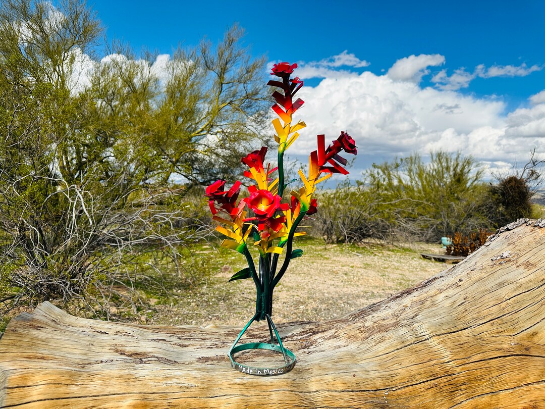 Handcrafted Metal Ocotillo Cactus: Vibrant Desert Landscape Art - Etsy