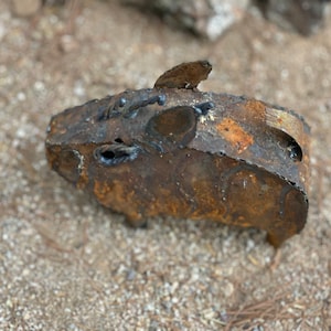 Tiny Rusty Metal Javalina Metal Yard Art Desert Boar Pig - Etsy