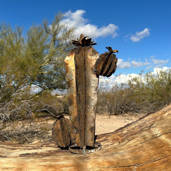 Metal Cactus - Etsy