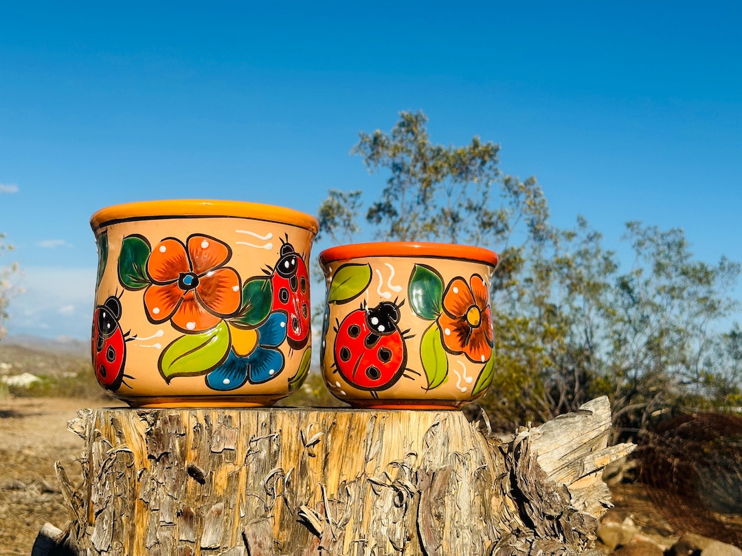 Hand-painted Talavera Planter: Colorful Mexican Pottery, Small - Etsy