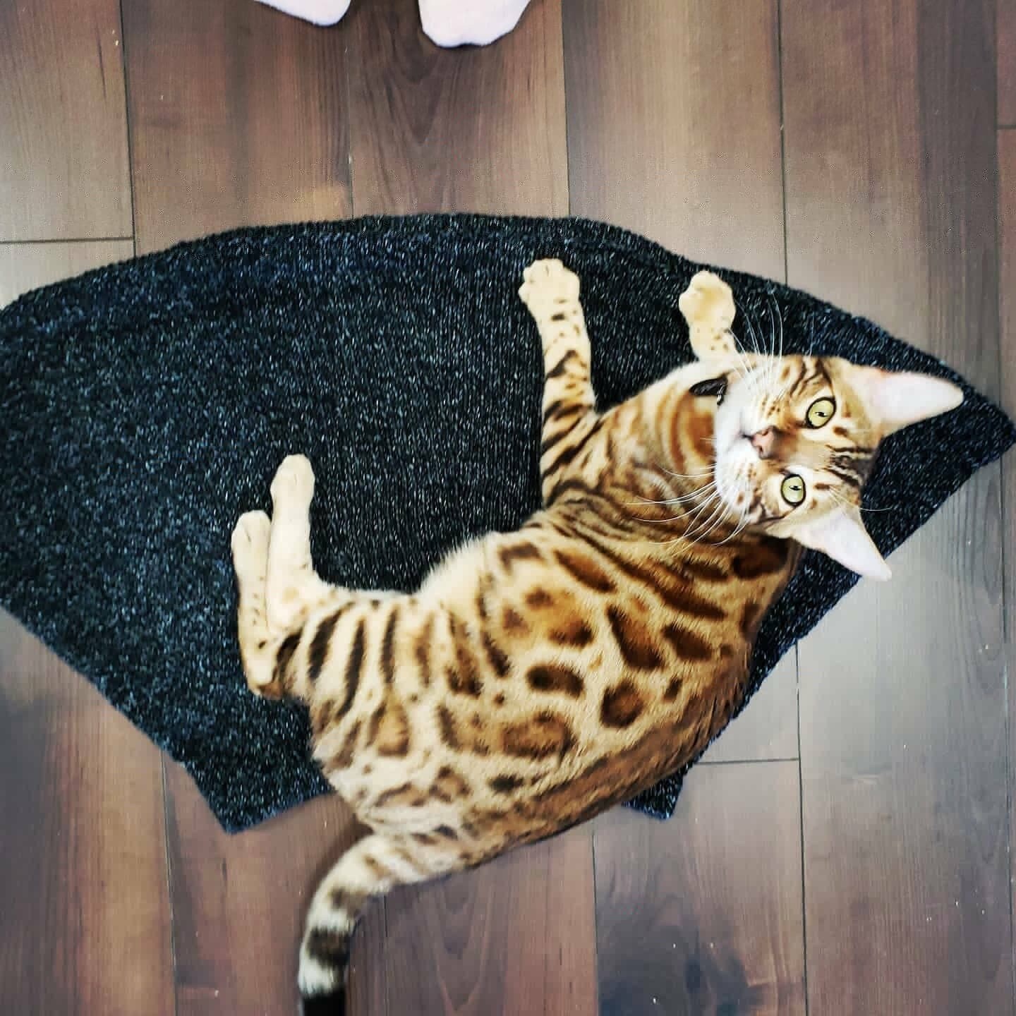 KNITTING PATTERN The Flirt Skirt // knit skirt pattern | Etsy