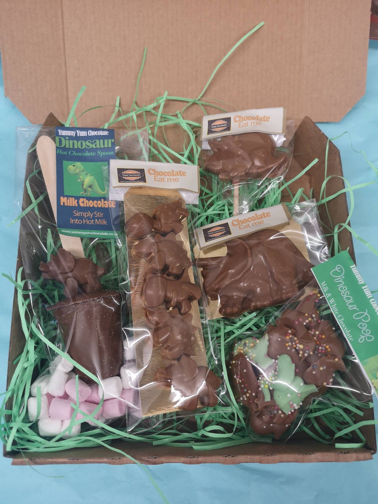 Dinosaur chocolate dinosaurs edible gift dinosaur-hot | Etsy