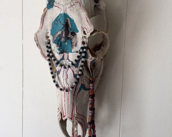 Real cow skull | Etsy