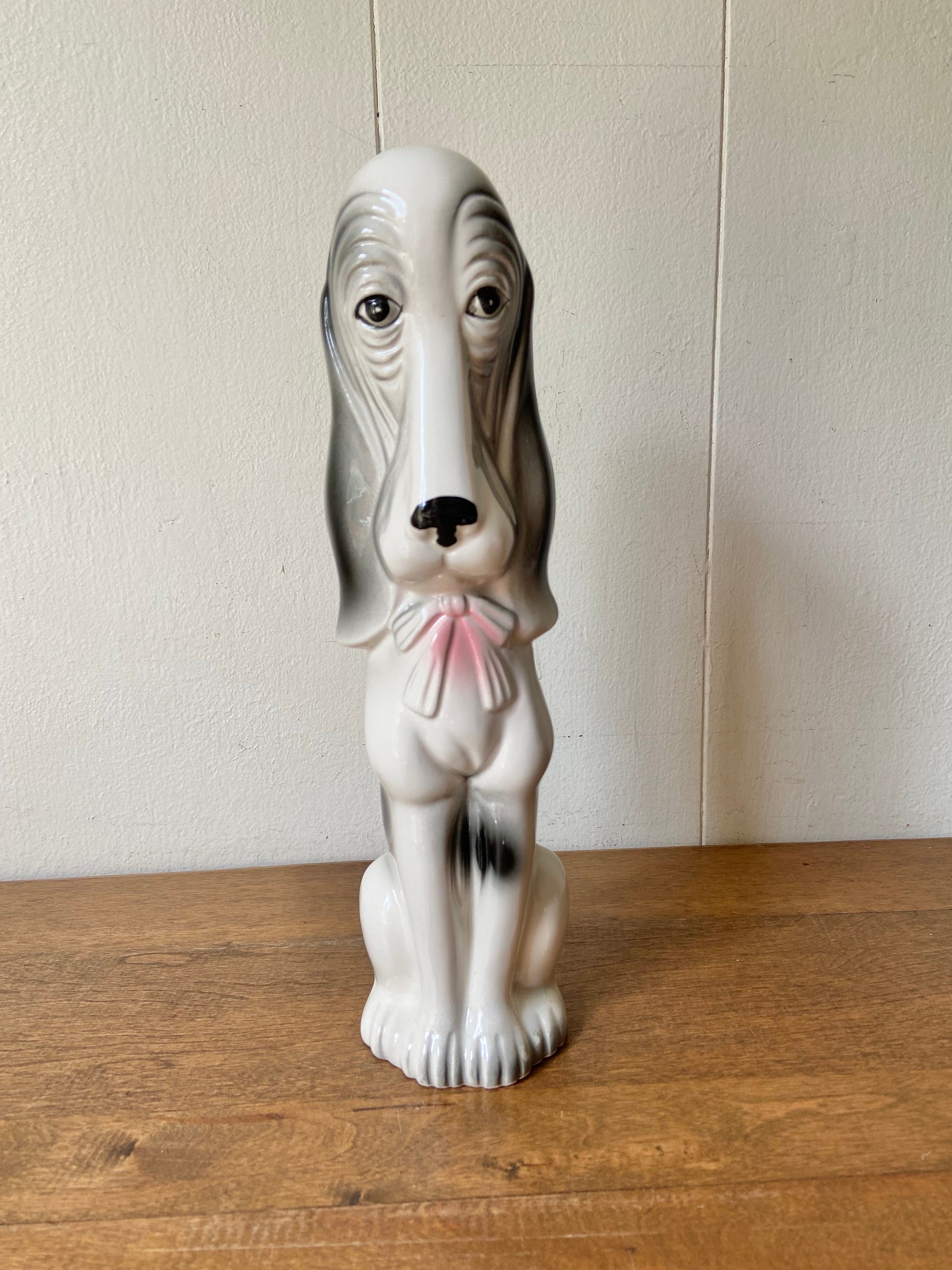 Droopy Eyes Dog