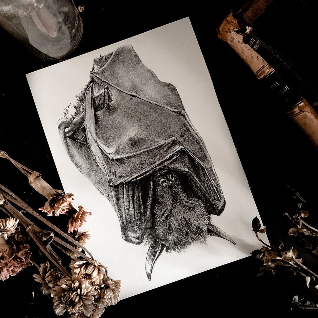 Sleeping Bat Drawing Print | Art Print | Dark Decor | Witchy Decor ...