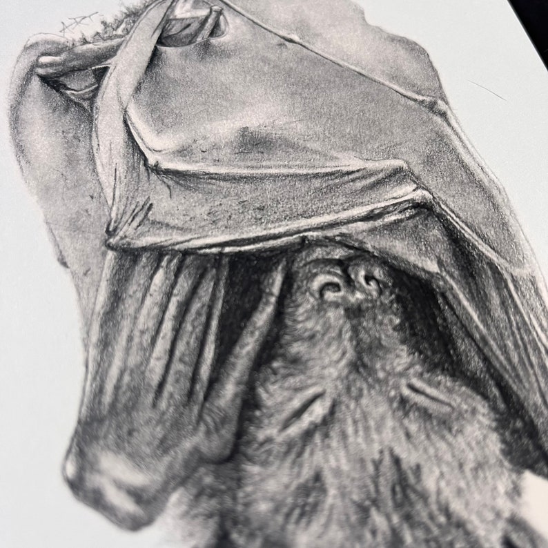 Sleeping Bat Drawing Print Art Print Dark Decor Witchy - Etsy