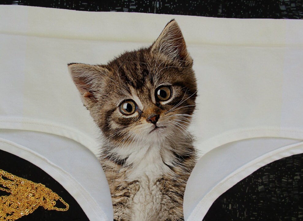 Cat Underwear Cat Panties Pussycat Panties Kitty Panties Etsy