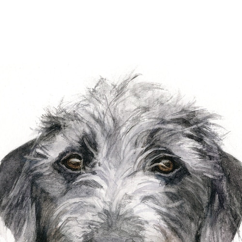 Bedlington Whippet Card Whiplington Lurcher Beddy Whippet | Etsy UK