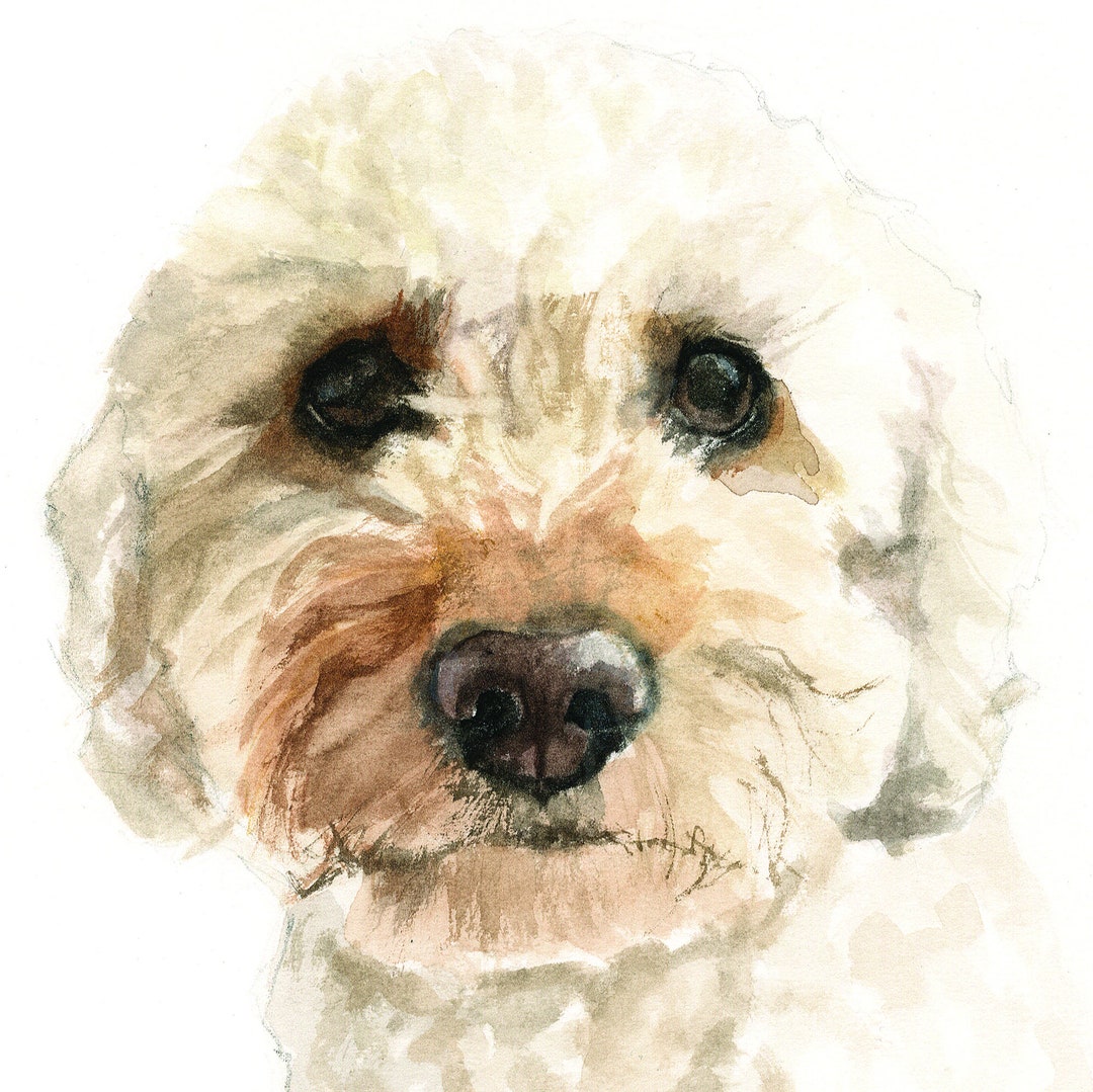 Cockapoo Card, Dog Greetings Card - Etsy