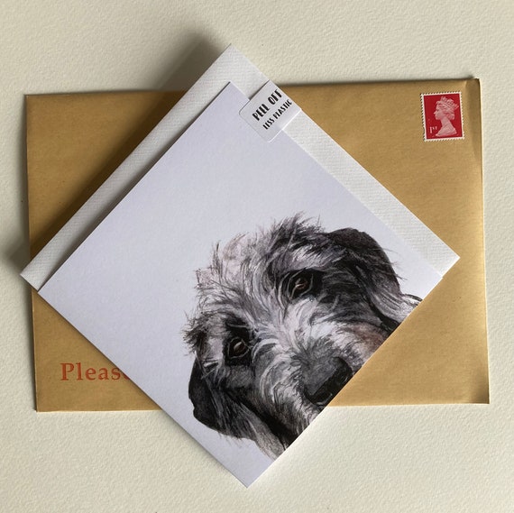 What Is A Beddy Whippet