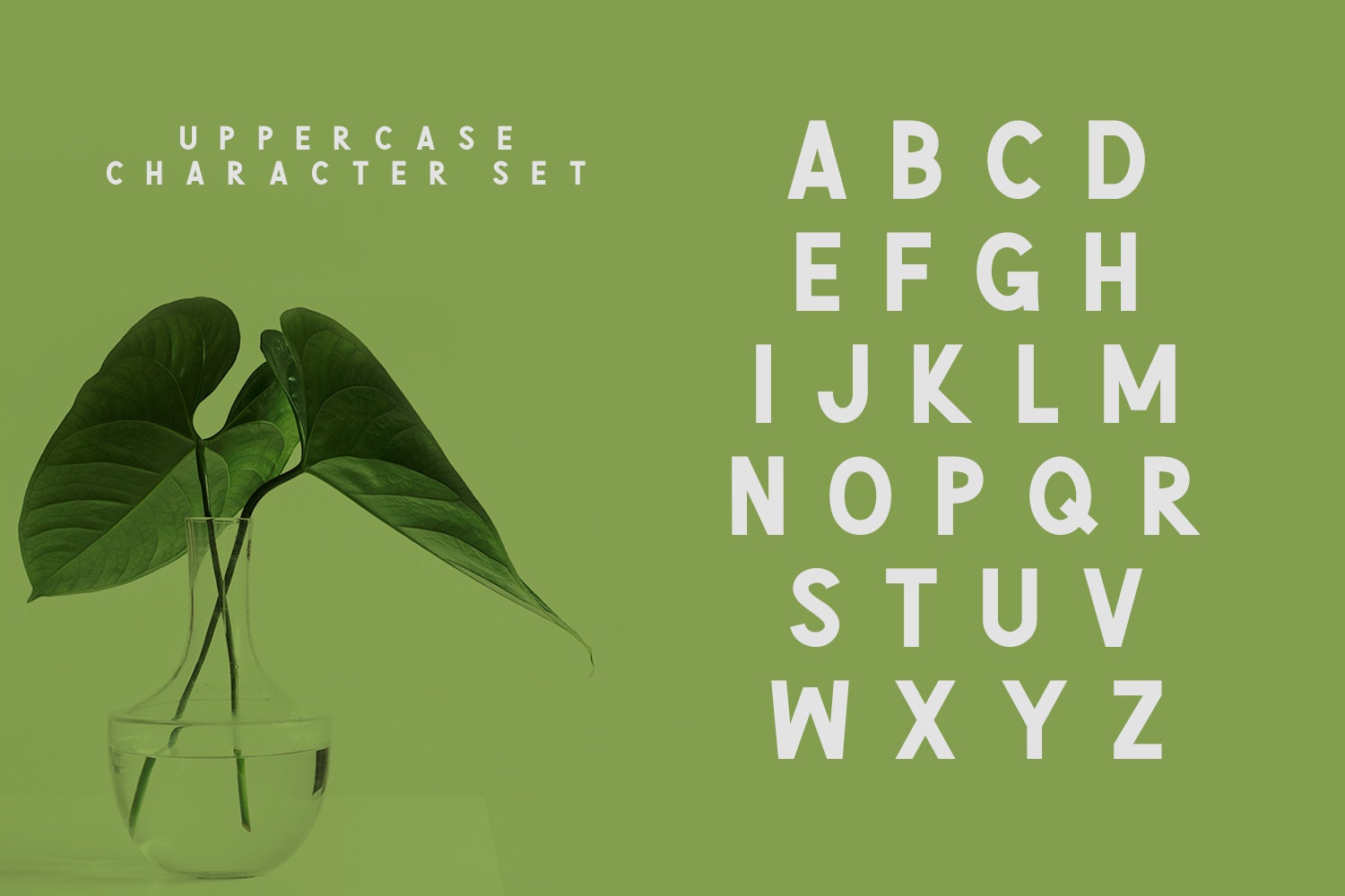 Green | Natural Cute Font, Funny Font, Leaf Font, Nature, Flower Font ...