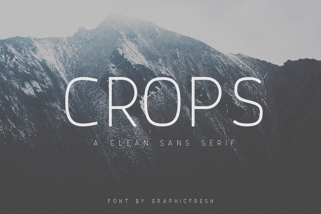 Crops Clean Sans Serif Font: Modern Elegant Typeface for Branding, Logo ...