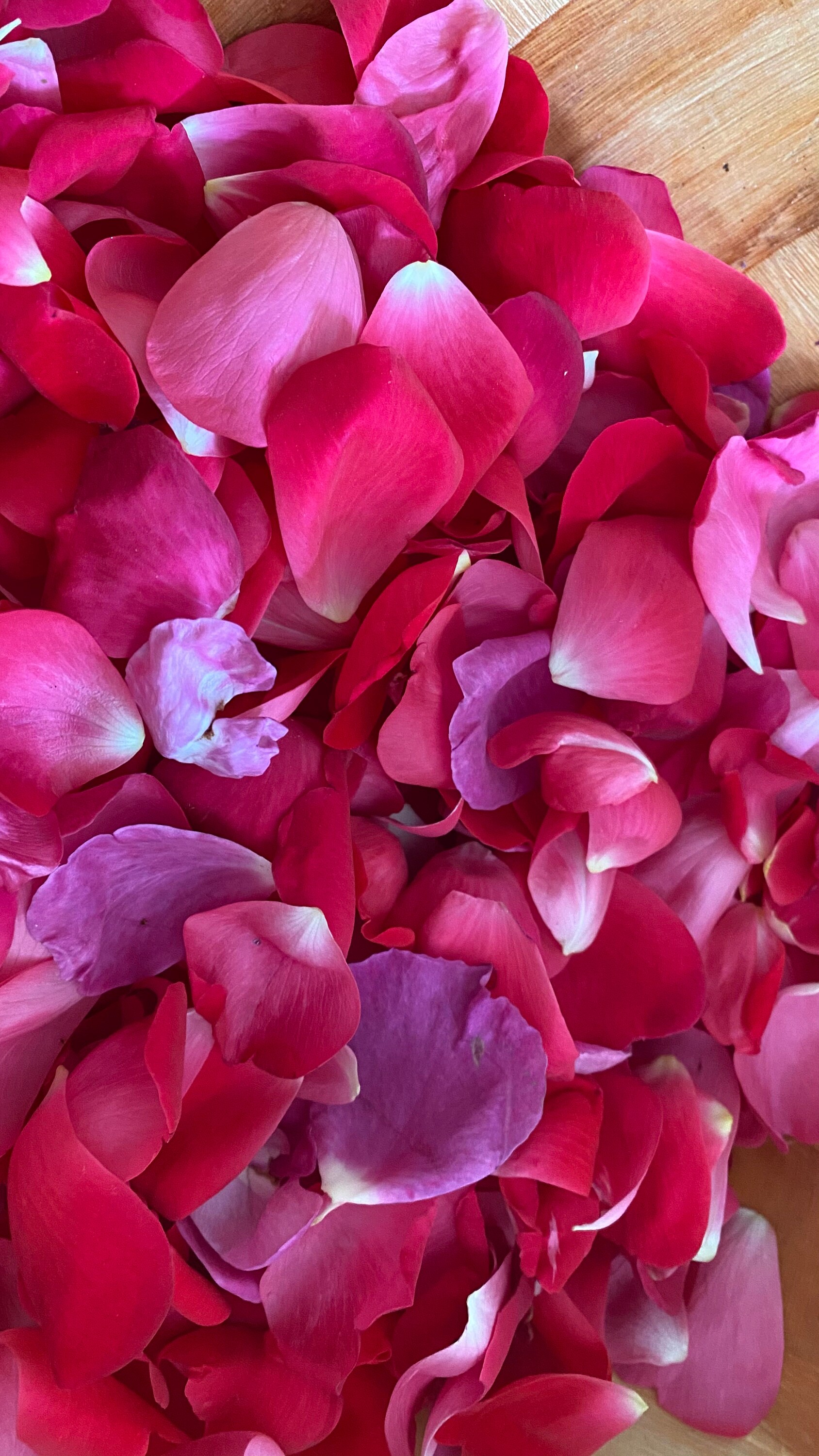 Red Rose Petals Dried Rose Petals Organic Rose Petals Wedding - Etsy