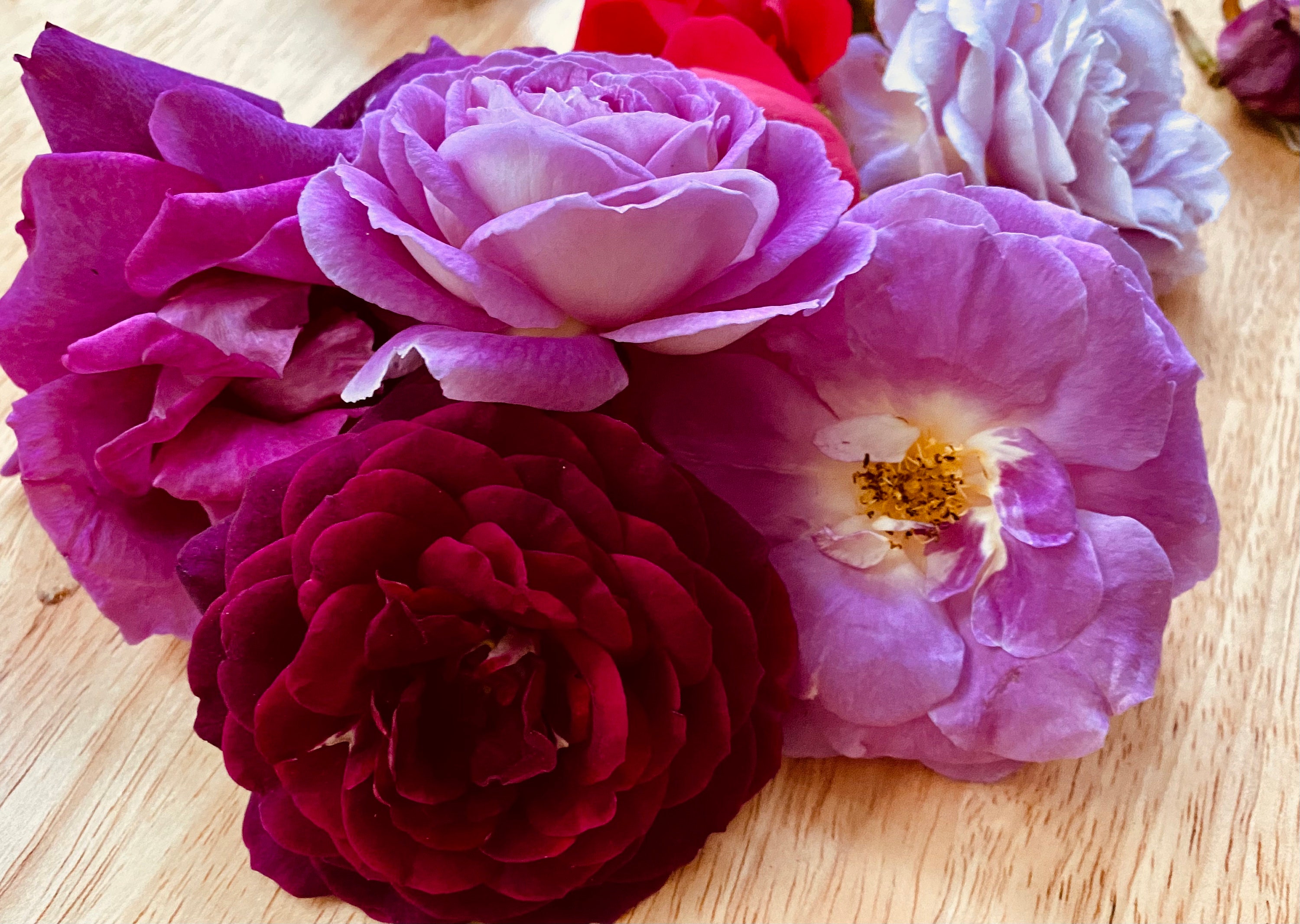 Red Rose Petals Dried Rose Petals Organic Rose Petals Wedding - Etsy