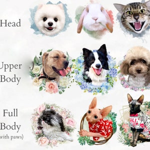 Color Pencil Style CUSTOM Pet Portrait From Photo, Personalized Cat Dog ...