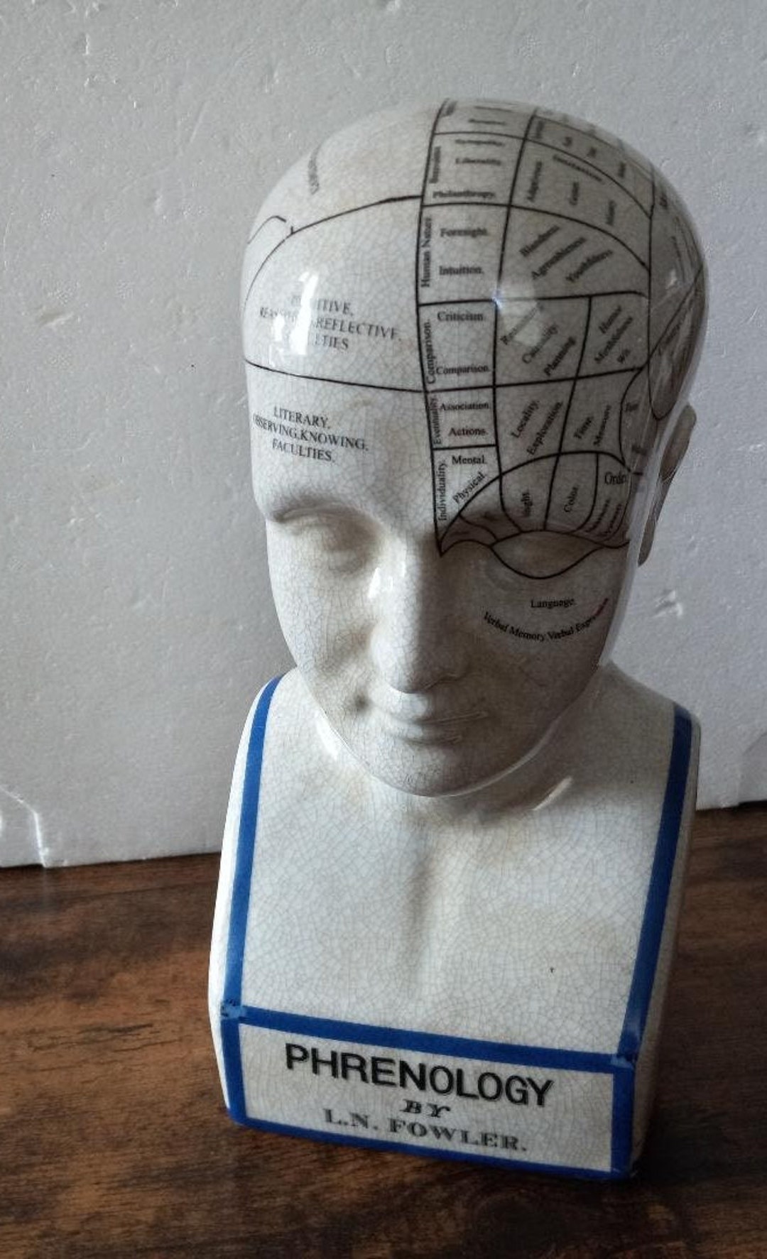 Phrenology Porcelain Head Bust 13 Inch Medical Doctor Office - Etsy
