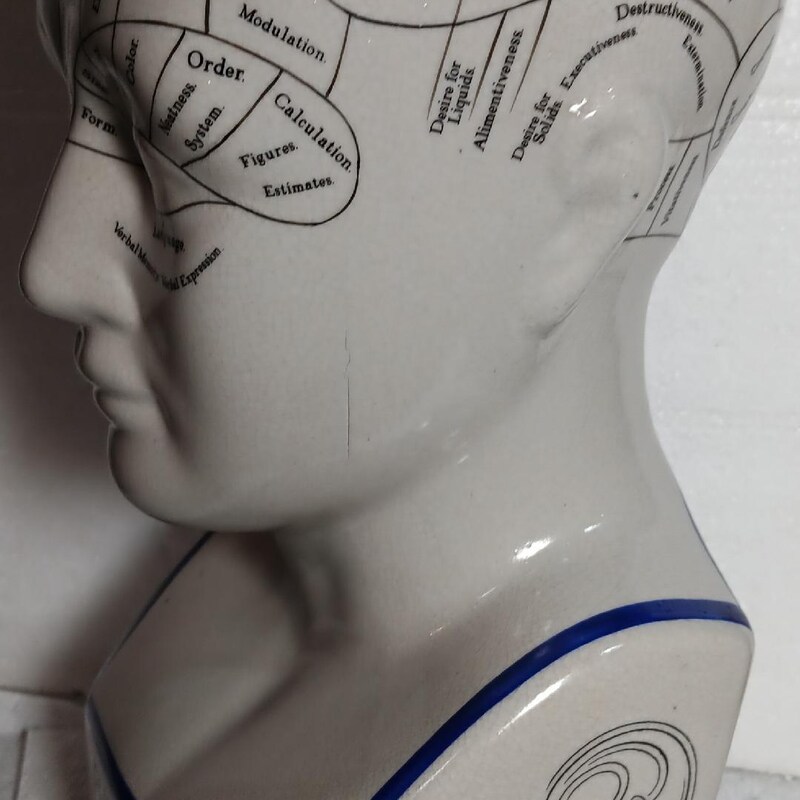 Phrenology Head - Etsy