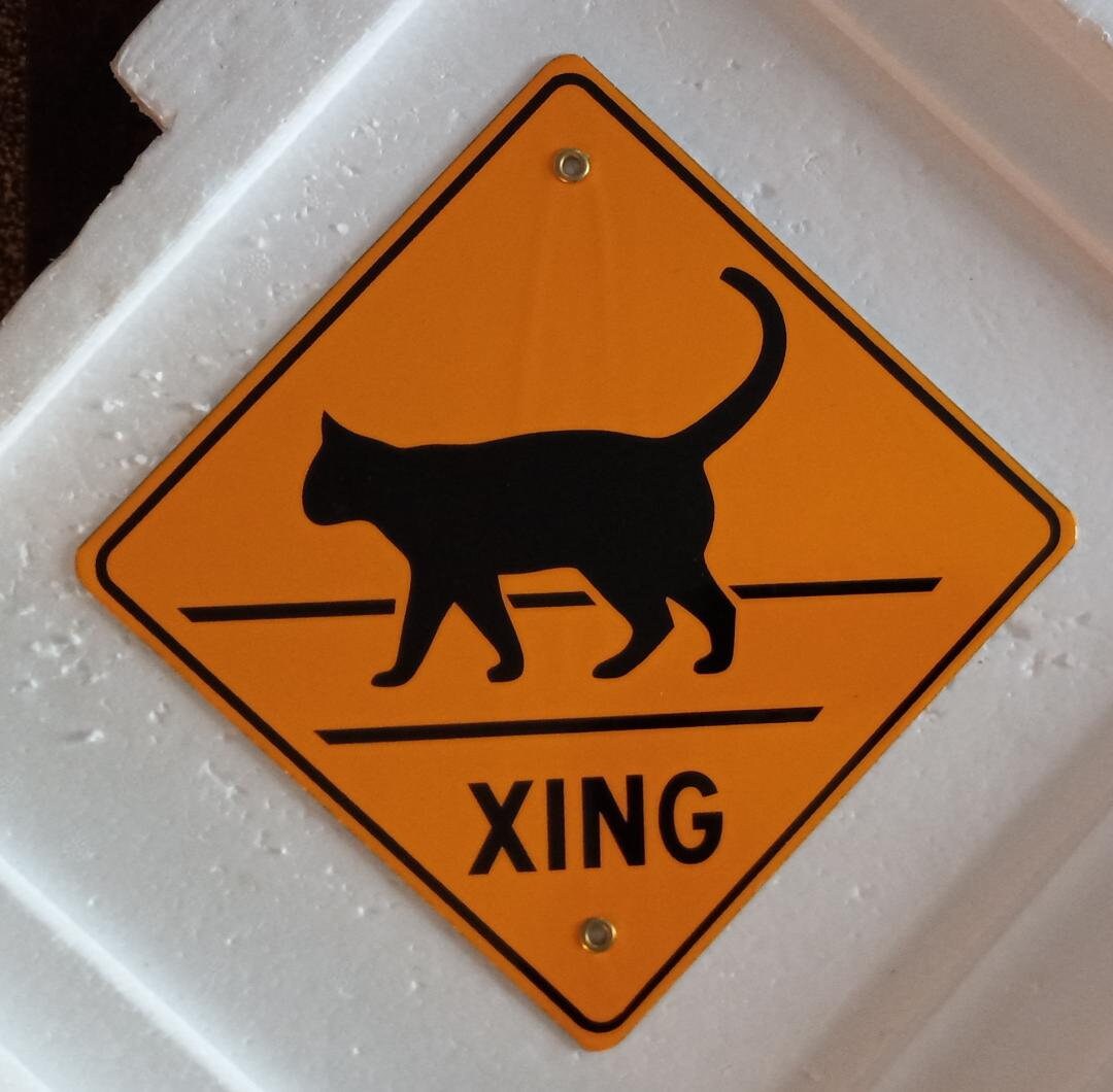 Cat Xing Porcelain Sign Home Office Garage Shop Wall Decor - Etsy