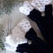 Ruffled Crochet Fingerless Gloves, Frilly Gloves, Handmade Mid Length ...