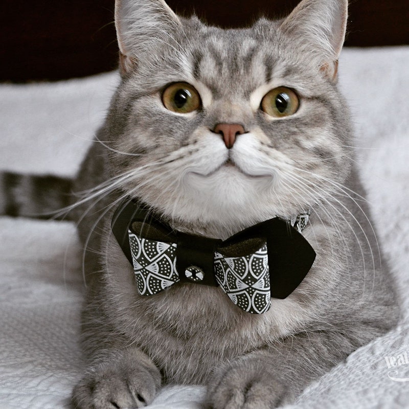 Cat Bow Ties - Etsy