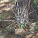 2 24 Inch Steel, metal, Wagon Wheels - Etsy