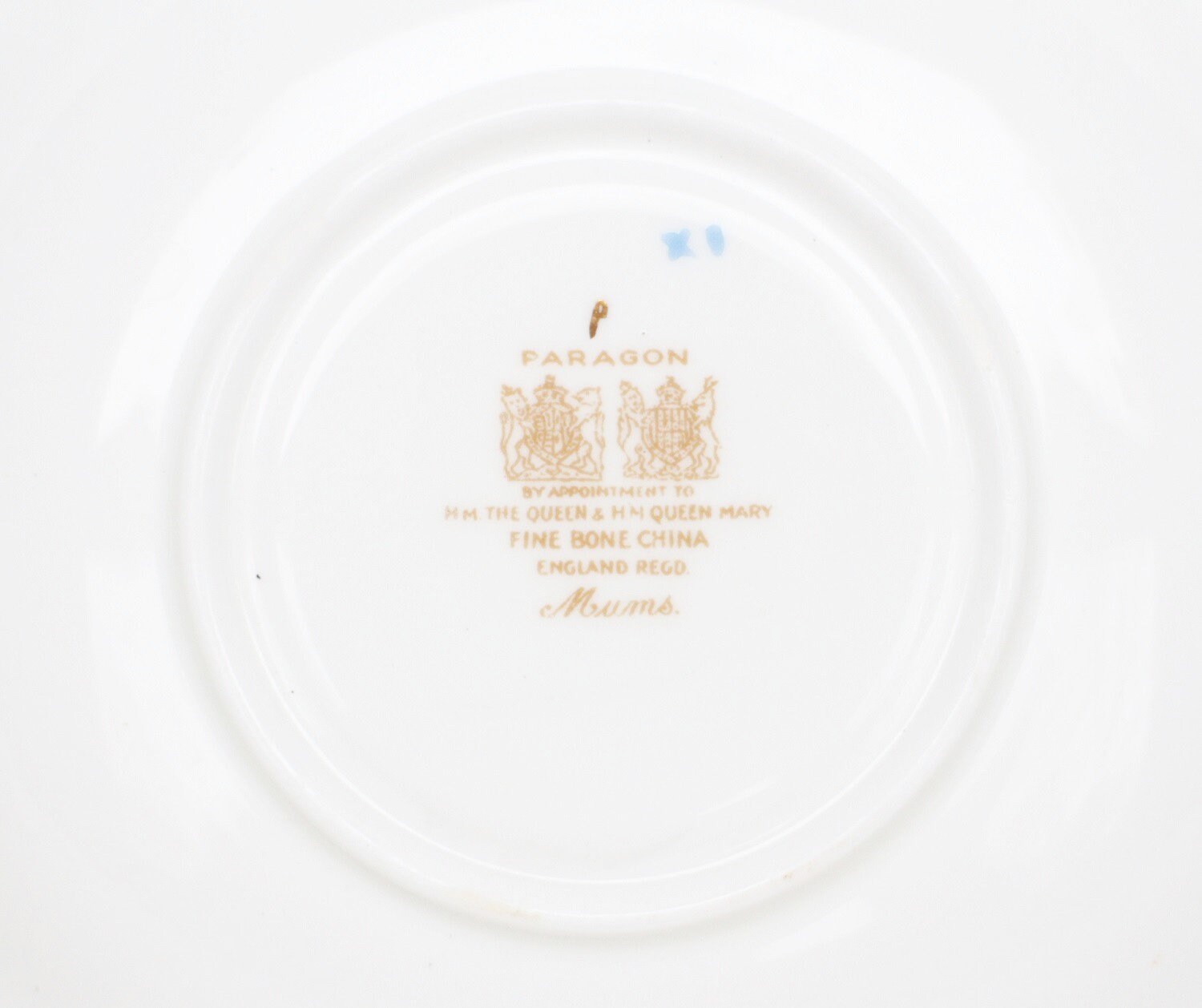 Paragon Mums Teacup and Saucer Chrysanthemum Flowers Cup and | Etsy