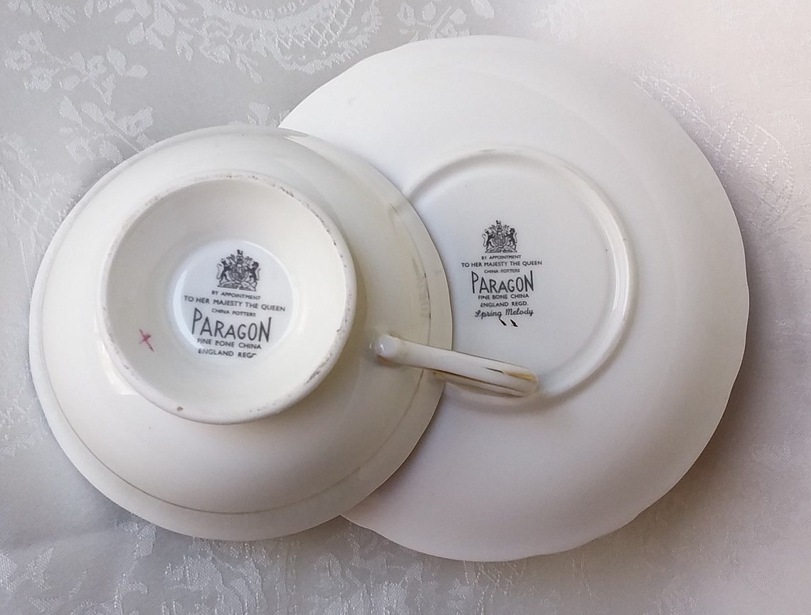 Paragon Spring Melody Tea Cup and Saucer Paragon Violet and - Etsy