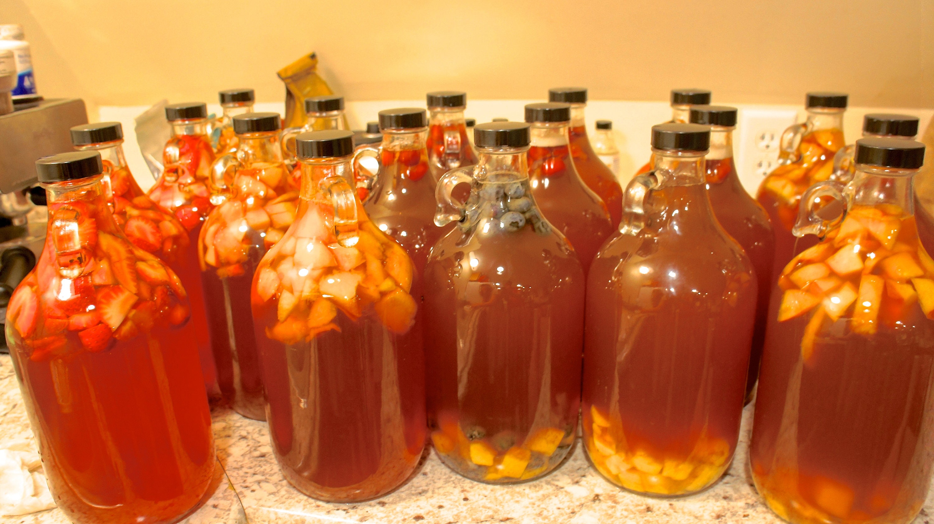 Healthy Kombucha Scoby - Etsy