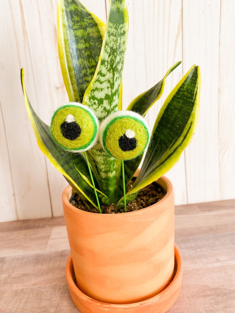 Plant Eyes Plant Accessory Felt Eyes - Etsy