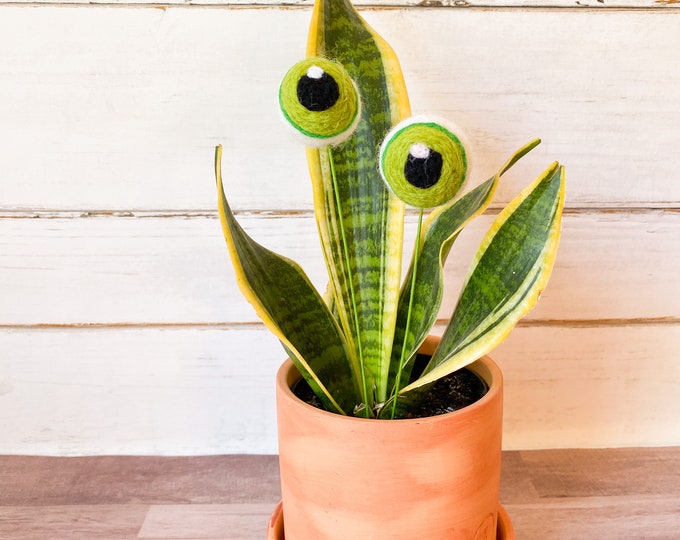 Plant Eyes, Plant Accessory, Felt Eyes - Etsy