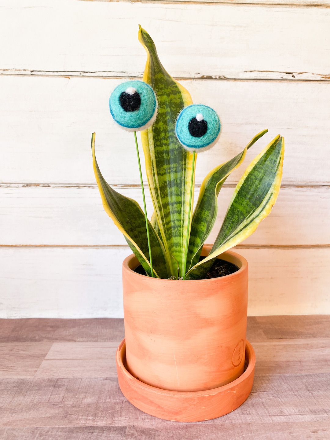 Aqua Plant Eyes, Plant Accessory, Felt Eyes, Plant Eyes - Etsy