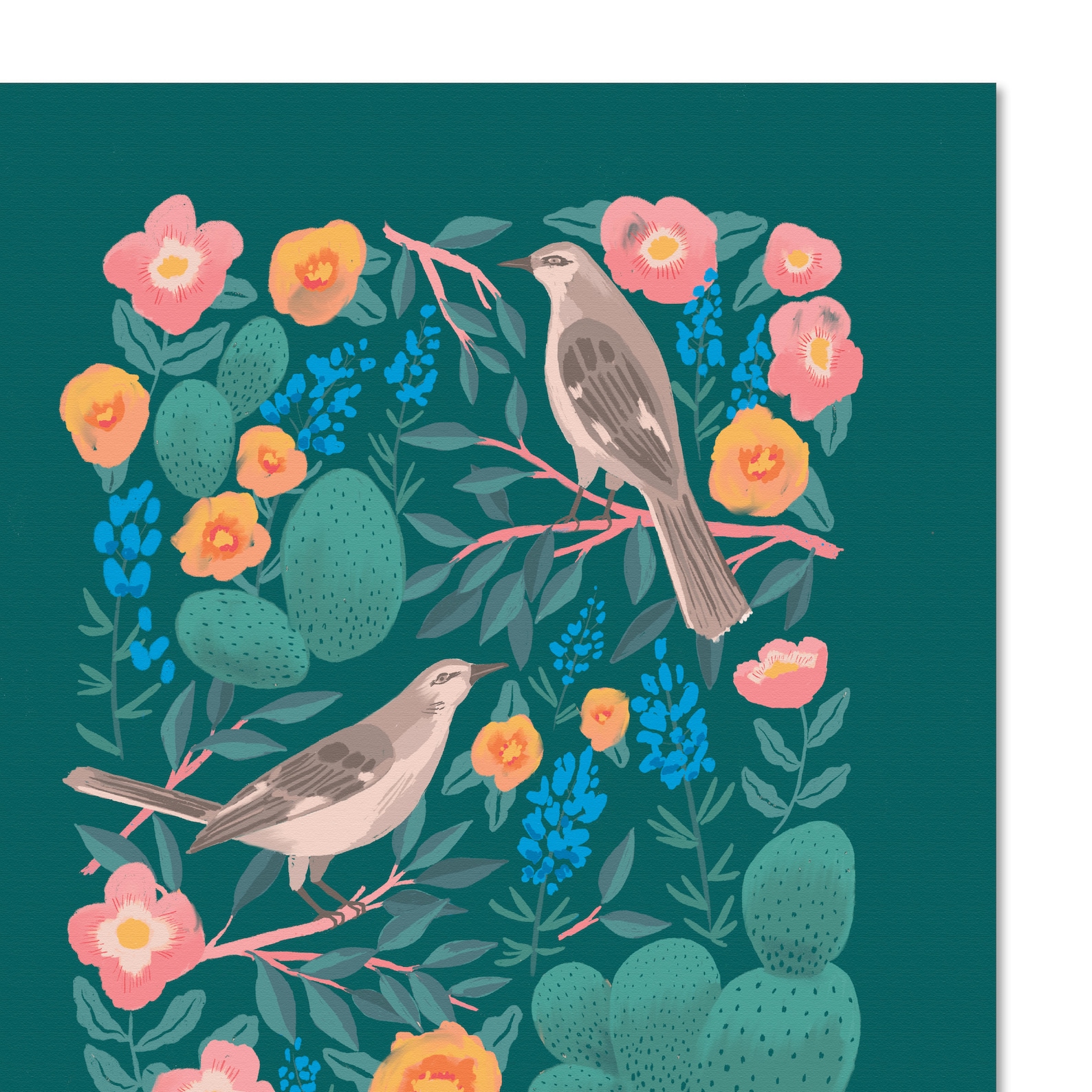 Texas State Bird and Flower Print - Mockingbird and Bluebonnet - 11x14 ...