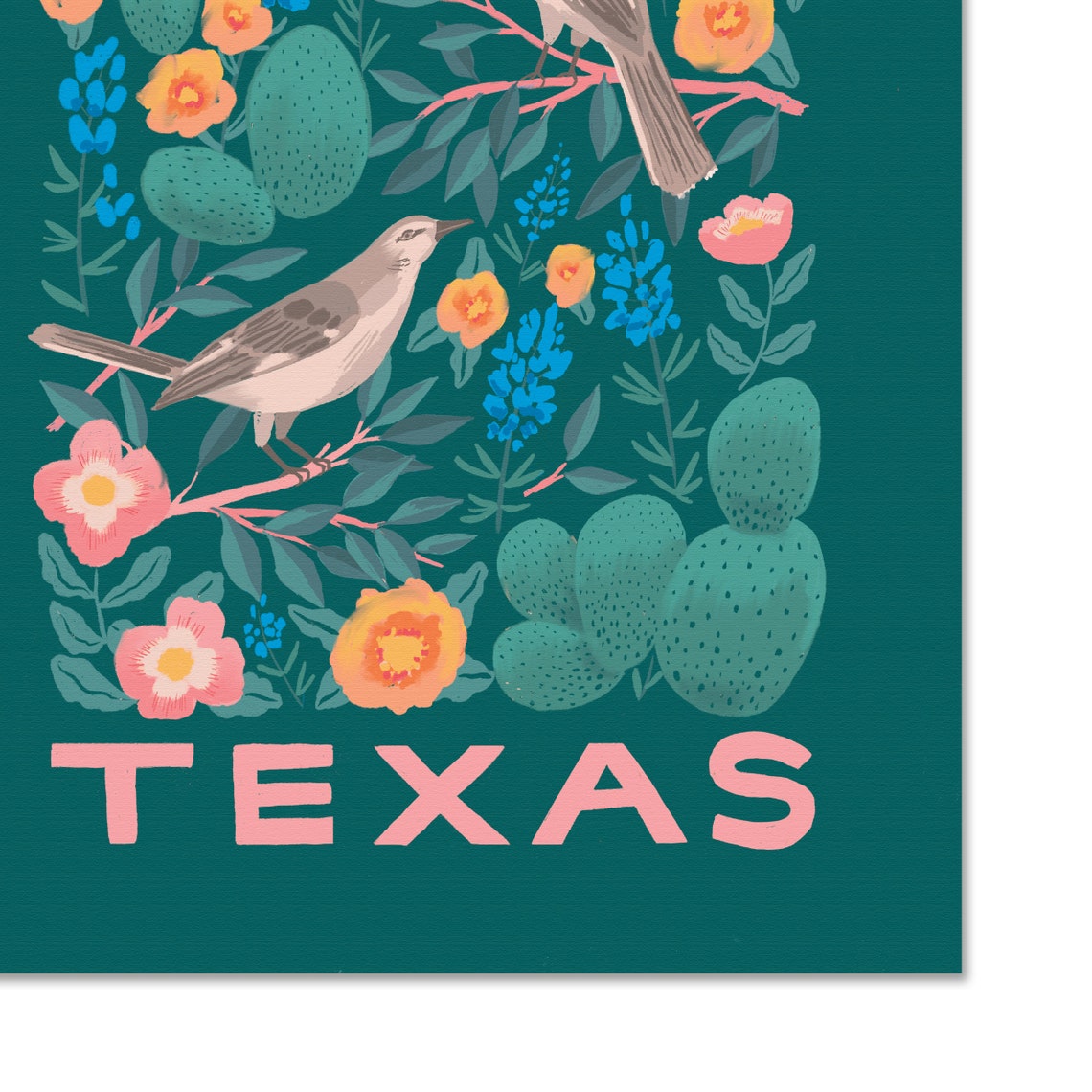 Texas State Bird and Flower Print - Mockingbird and Bluebonnet - 11x14 ...