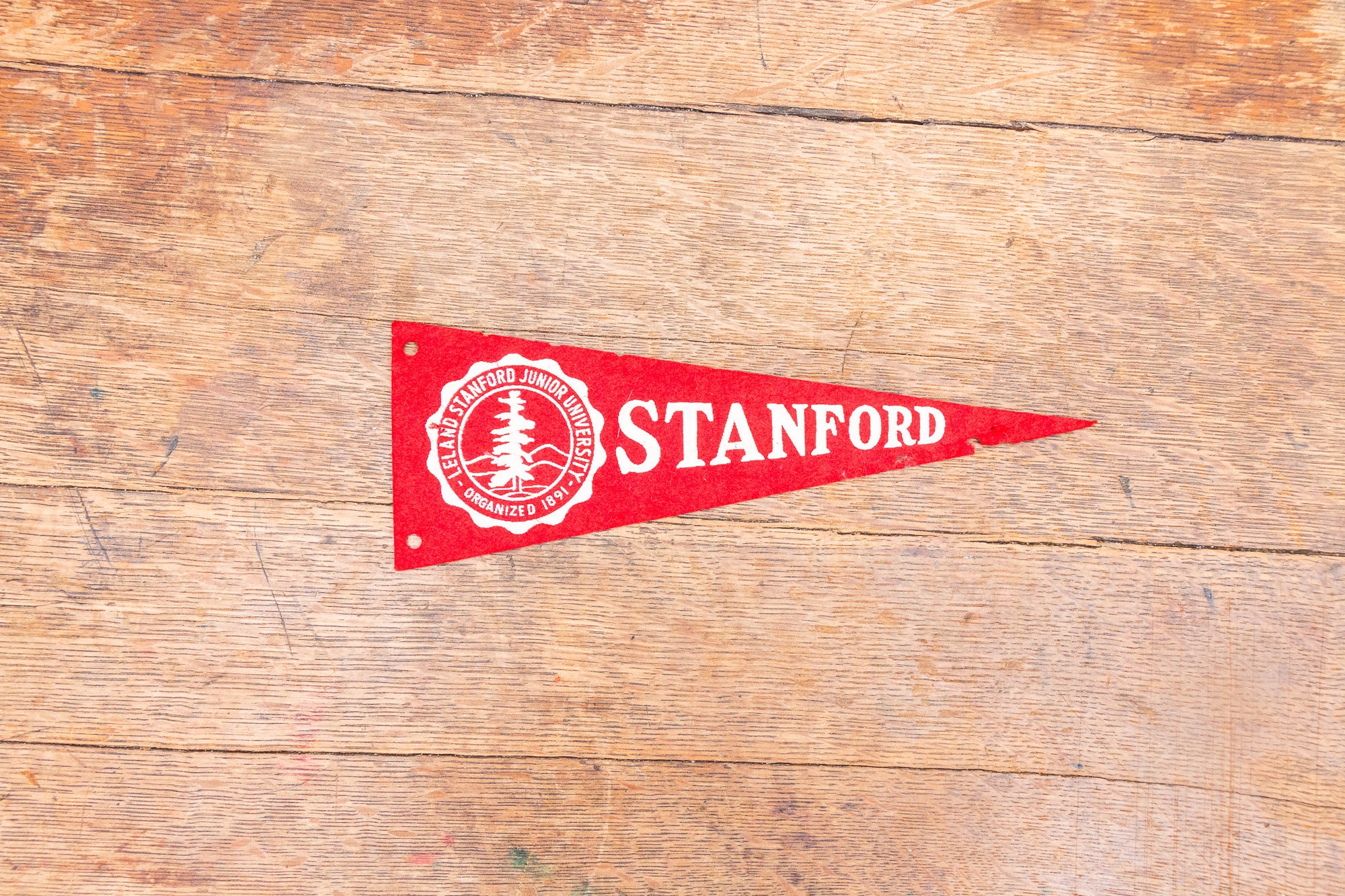 Stanford Pennant