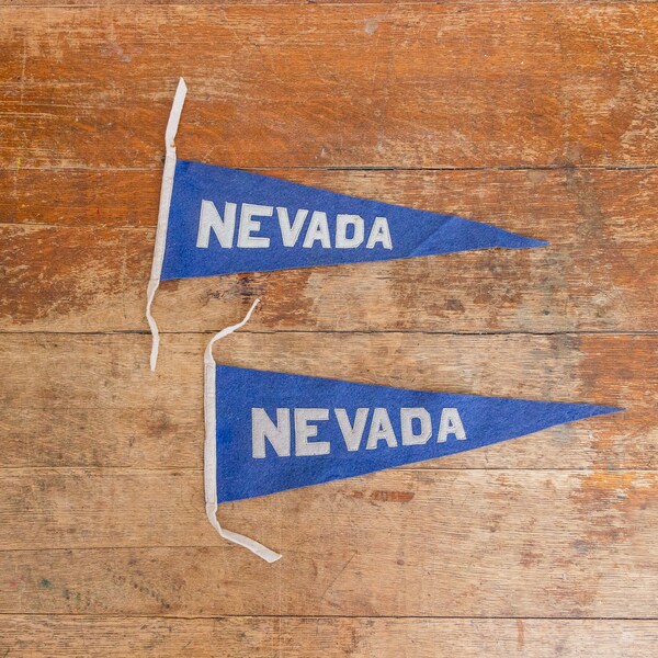 University of Nevada Decor - Etsy