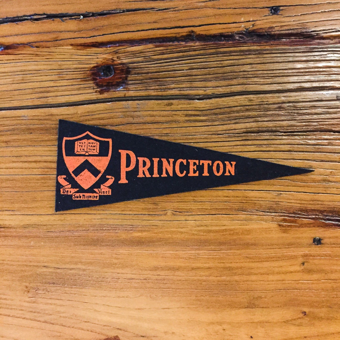 Princeton University Mini Felt Pennant Vintage College Decor | Etsy