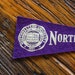 Northwestern University Mini Felt Pennant Vintage College Wall - Etsy
