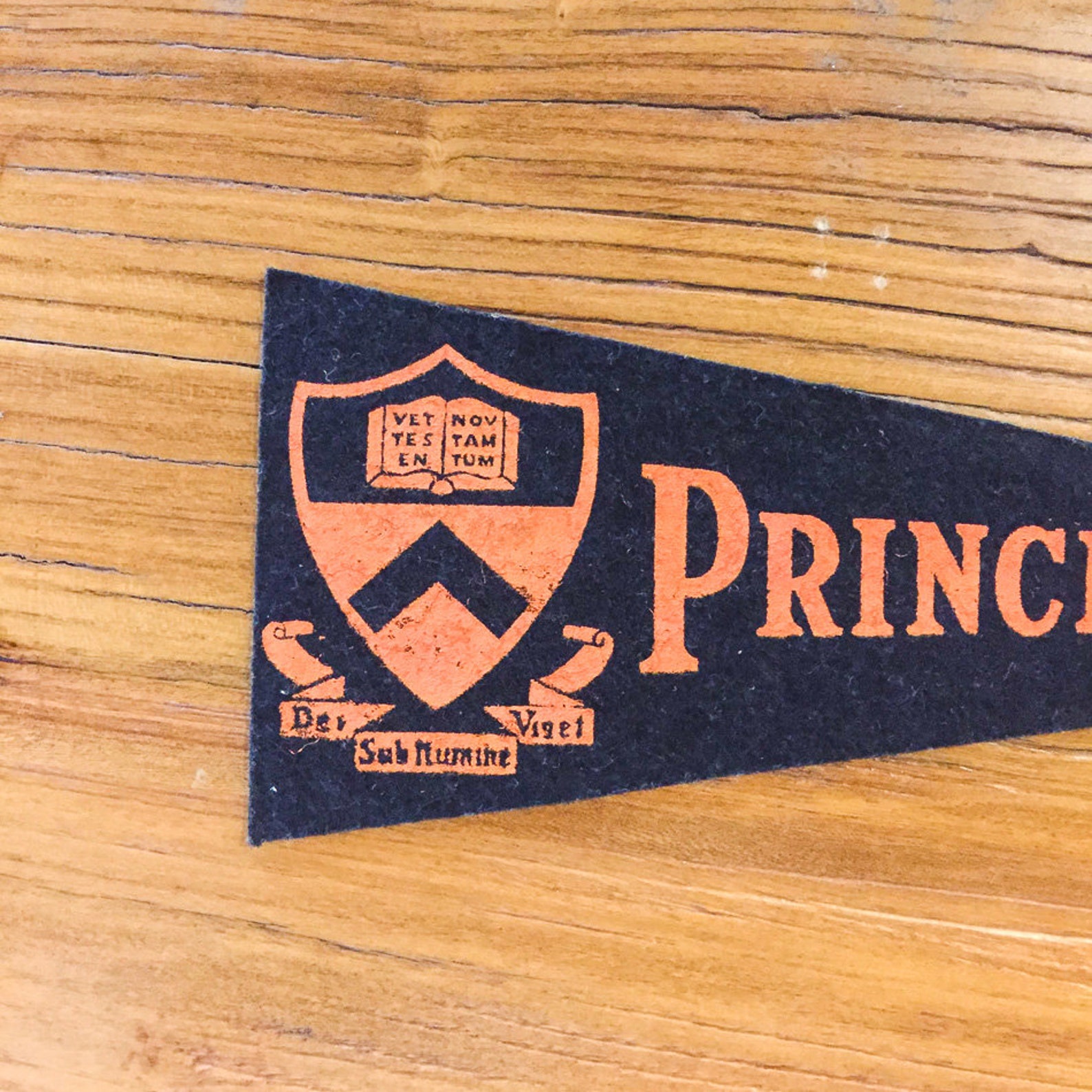 Princeton University Mini Felt Pennant Vintage College Decor | Etsy