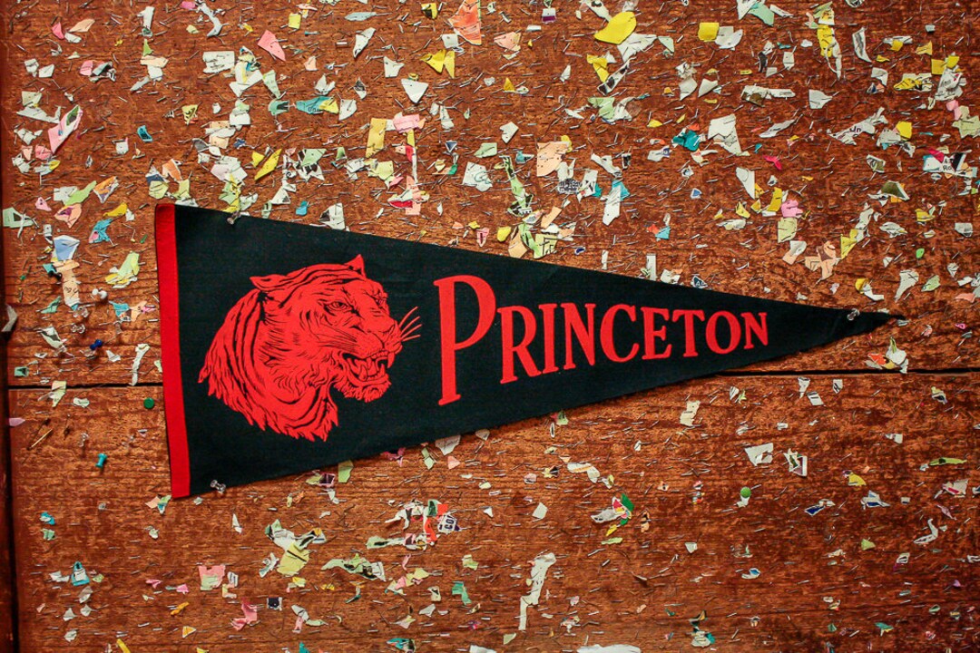 Princeton University Tiger Felt Pennant Vintage Collegiate Wall Decor ...