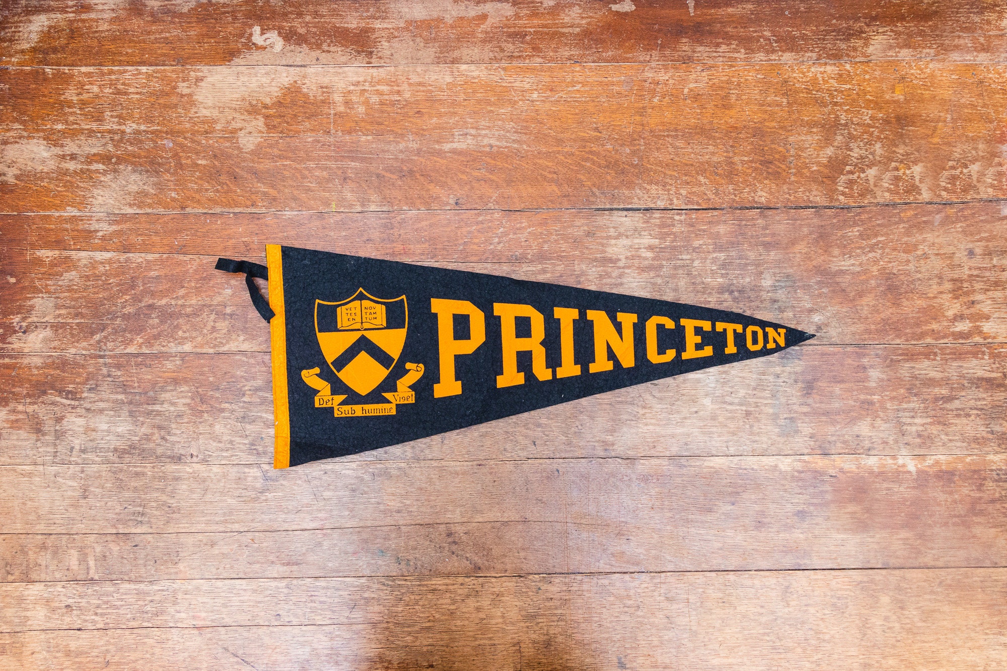 Princeton University Flag
