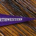 Northwestern University Mini Felt Pennant Vintage College Wall - Etsy