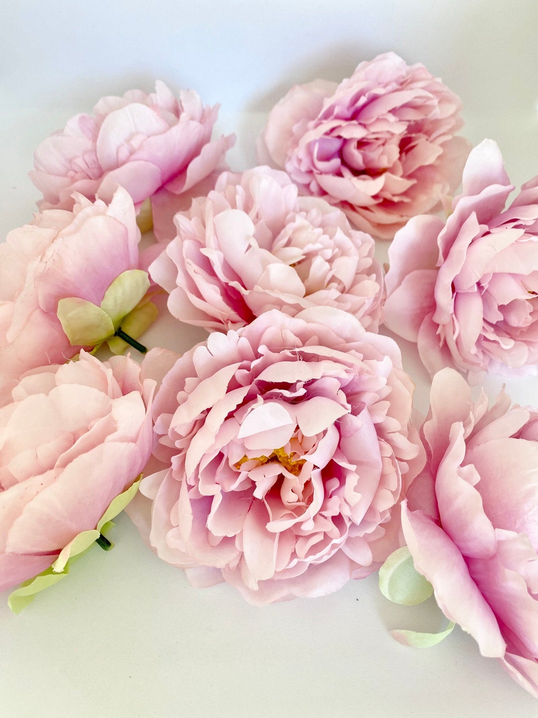 5 Light Pink Peony Two Tone Peony Wedding Flower Fluffy - Etsy