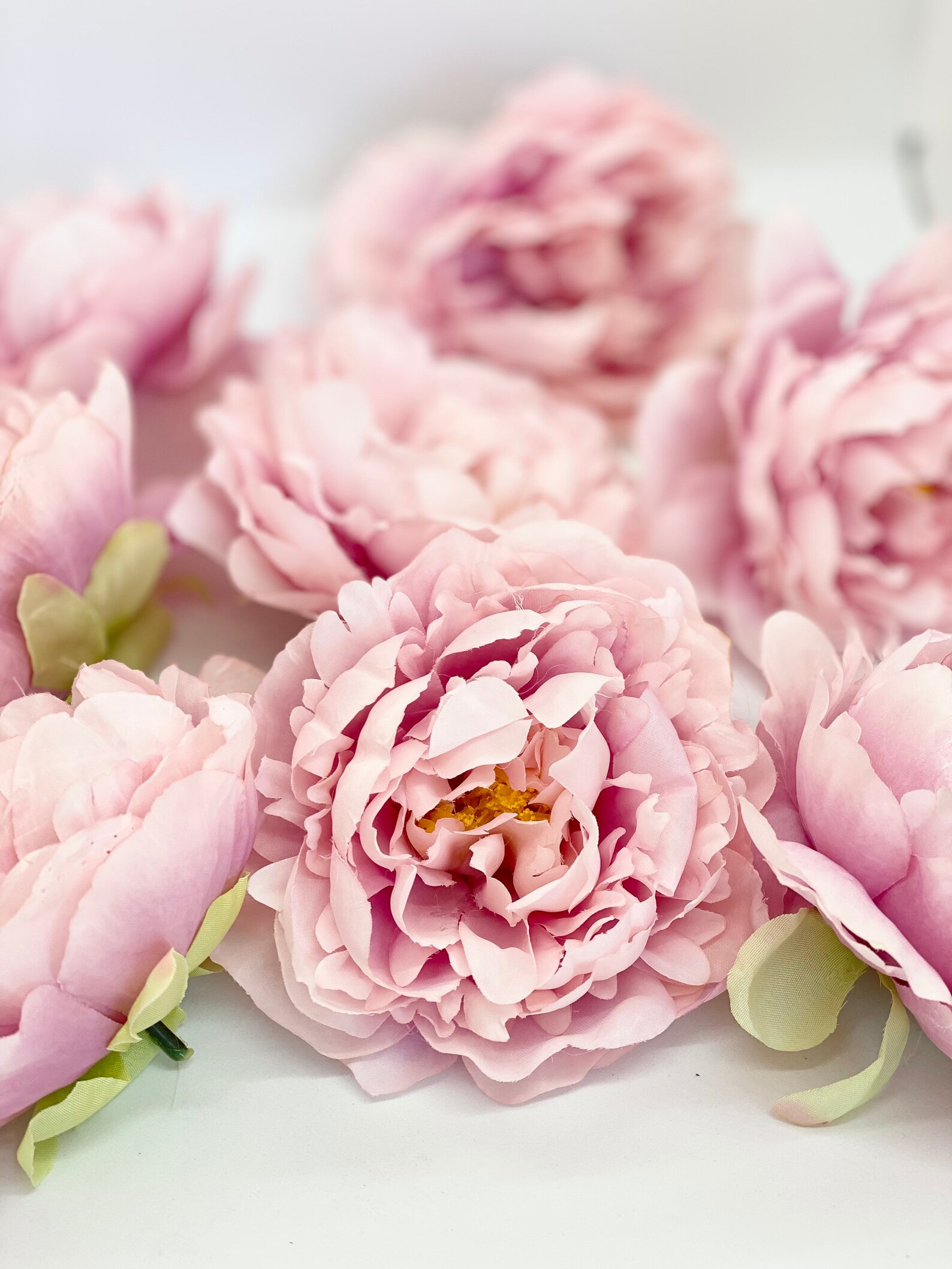 5 Light Pink Peony Two Tone Peony Wedding Flower Fluffy | Etsy